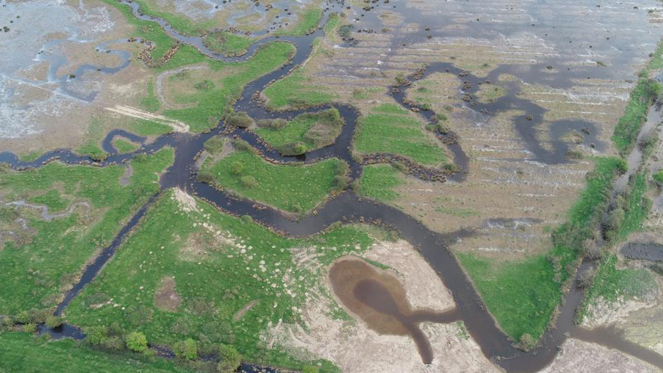 Opinion: rewilding can benefit landowners | Journals | RICS