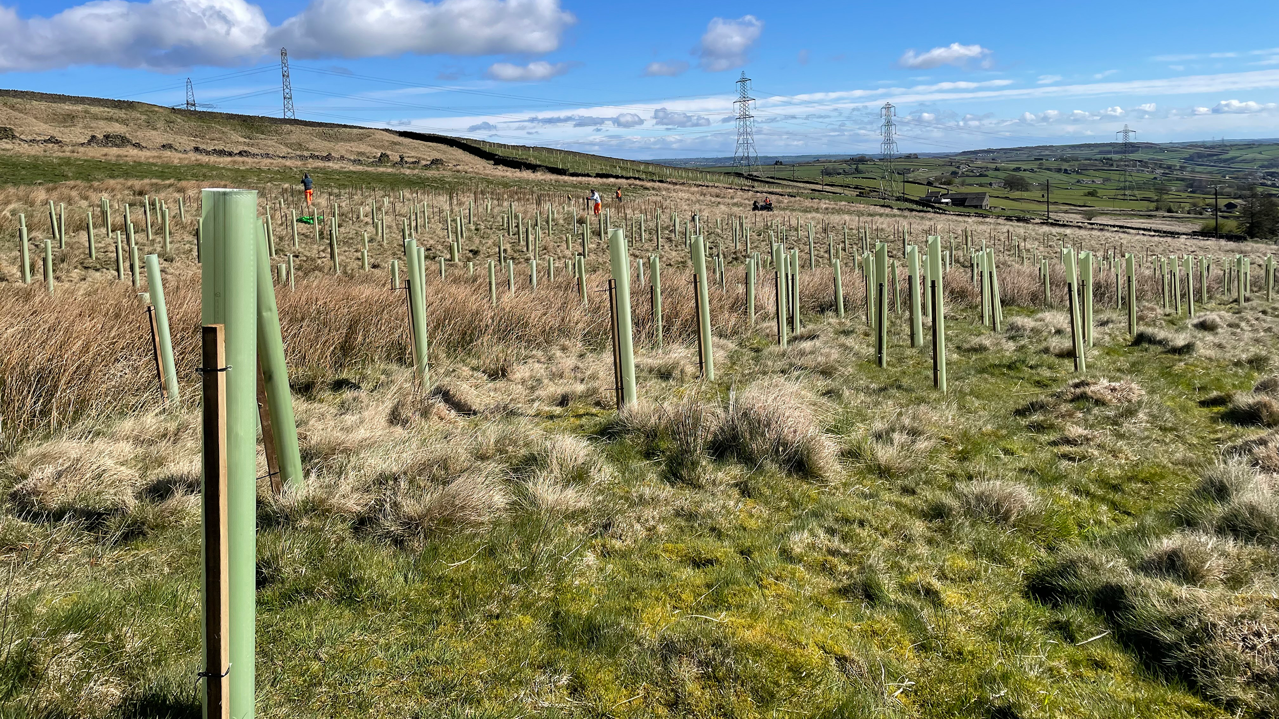Trees and dams help manage flooding in Yorkshire | Journals | RICS