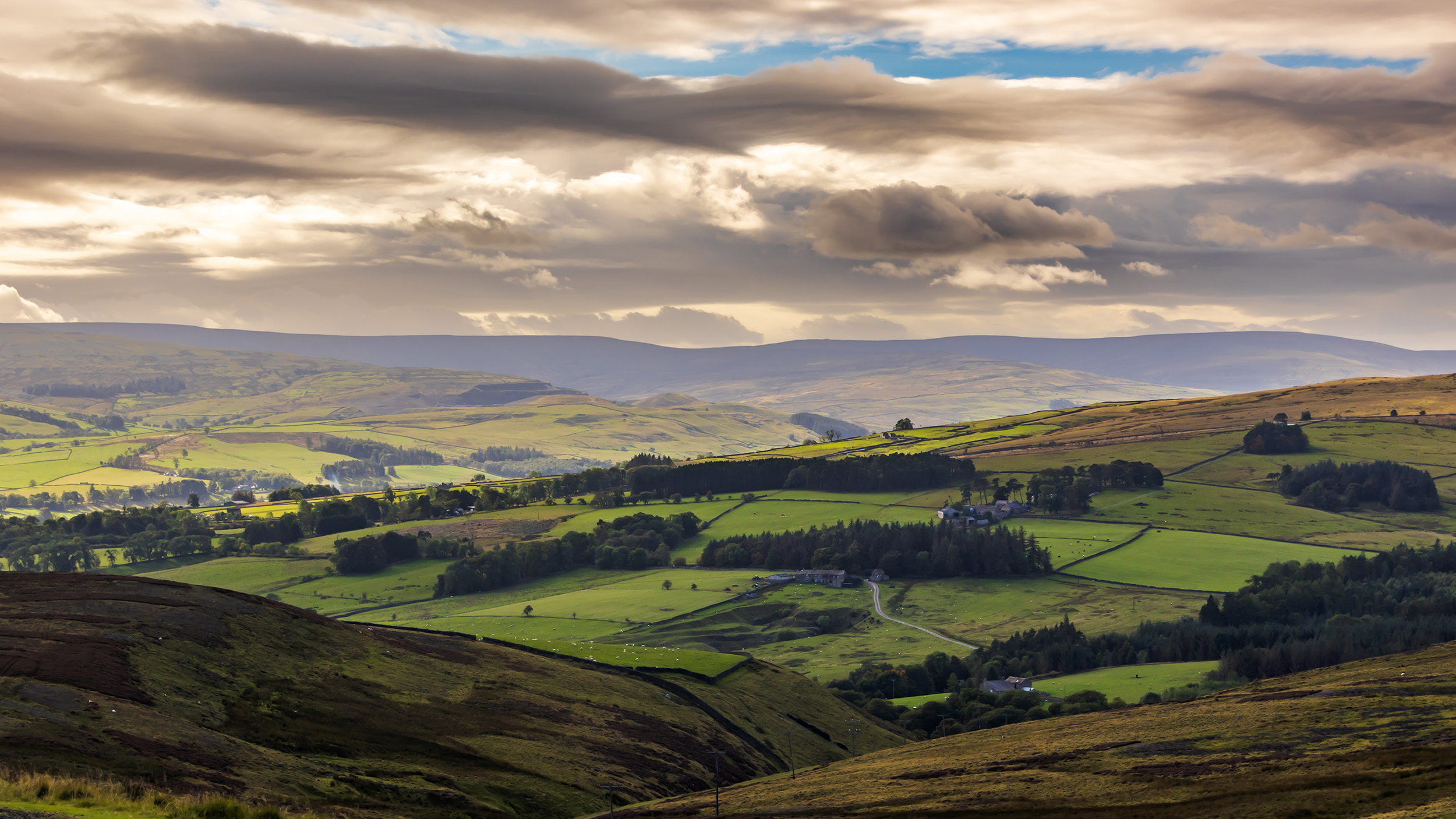 How nature can help farmers' business | Journals | RICS